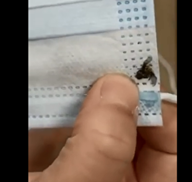 China Dents Image Further by Sending Defective Face Masks – KU8AM ...